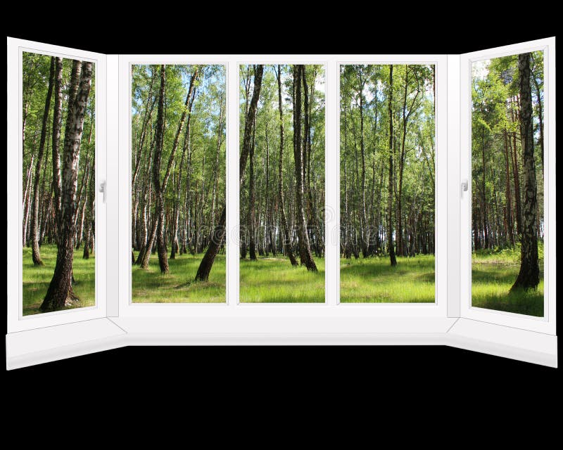 Windows Overlooking the Grove in the Spring Isolated Stock Photo ...