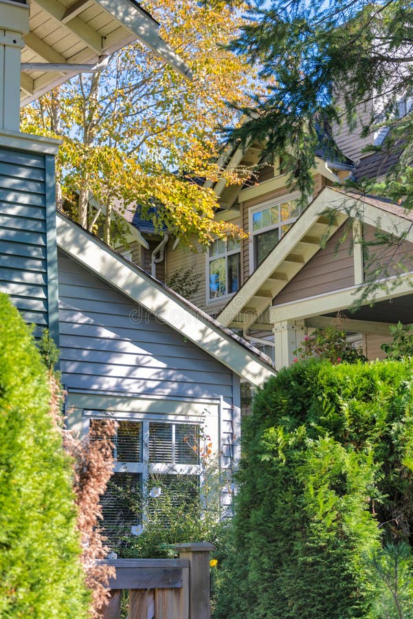 Windows and Roofs of Residentilal Buildings among the Tree Branches ...