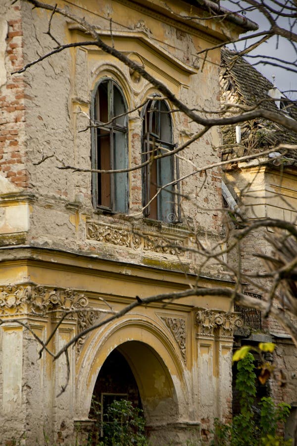 Windows of a Spooky Old Building through the Branches Stock Image ...