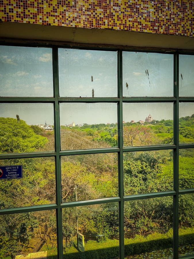 Windows Square Blocks Green Habitat Editorial Photography - Image of ...