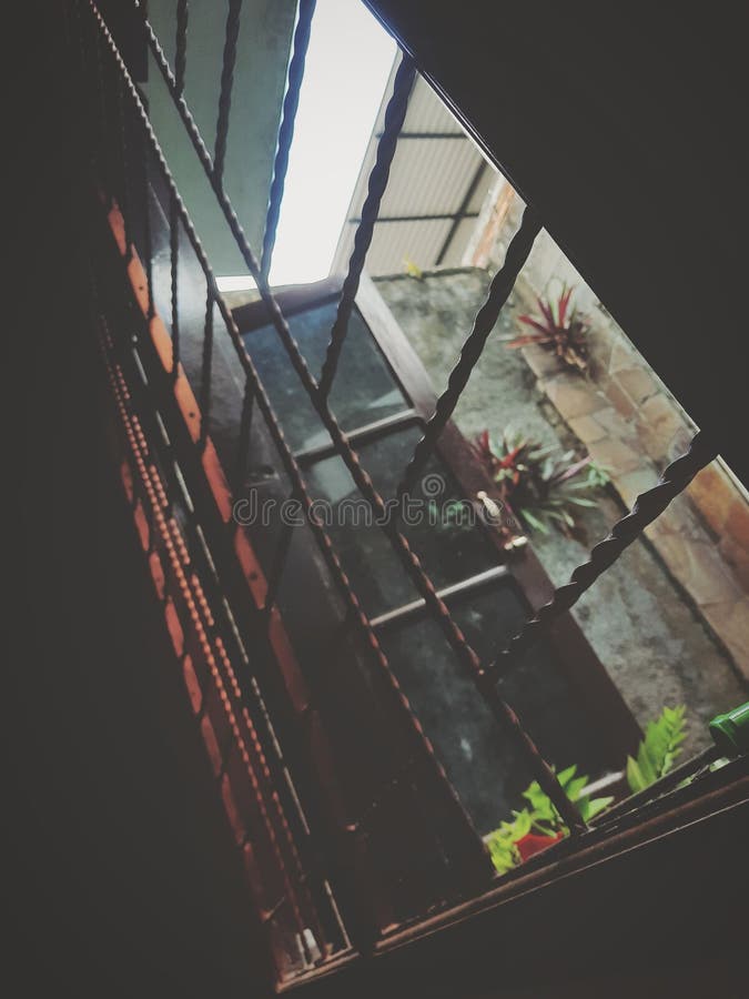 Windows To the Backyard Low Angle Shot Stock Photo - Image of backyard ...