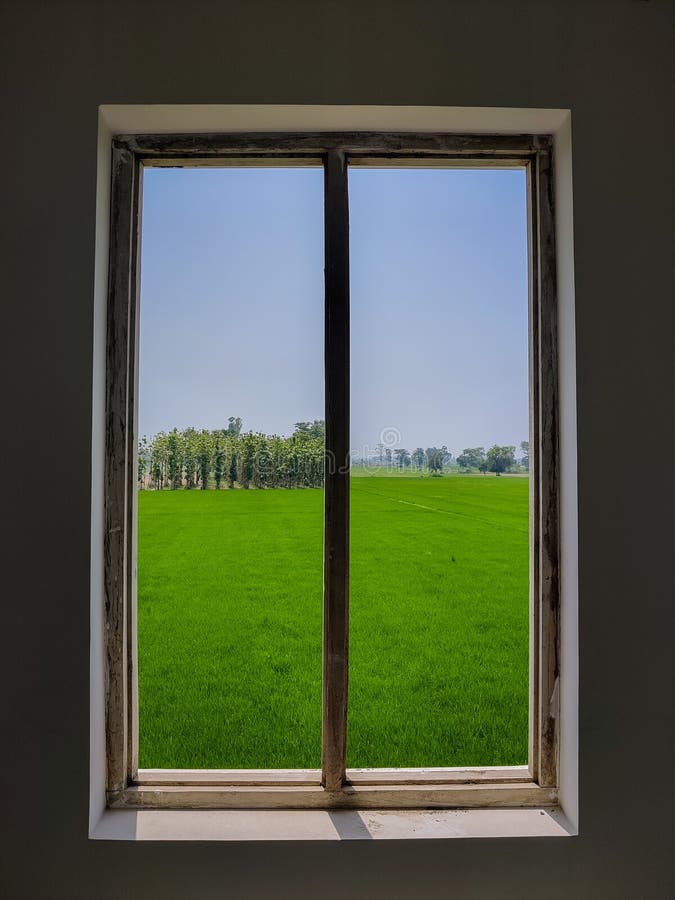 Windows View of Residential Condominium on Building Elevation. People ...