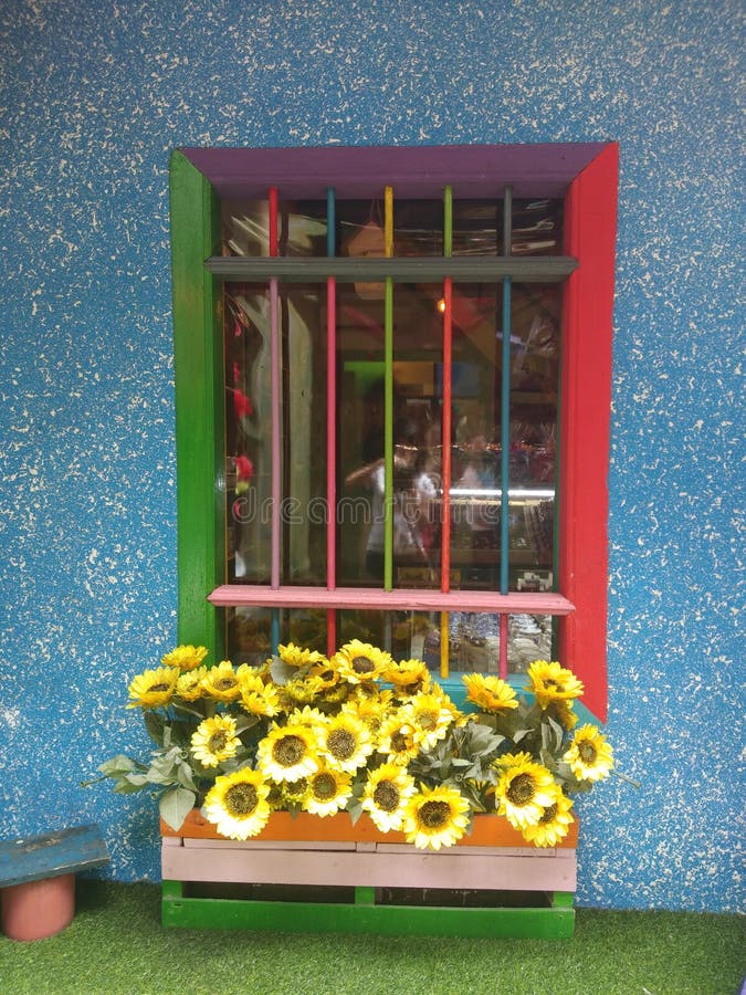 Windows stock image. Image of flower, windows, yellow - 118543013