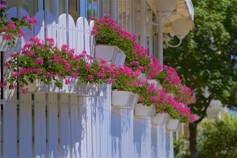 Windows Y Balcones En Venecia, Italia Imagen de archivo - Imagen de ...
