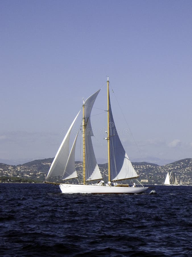 Windrose Picture. Image: 1358759