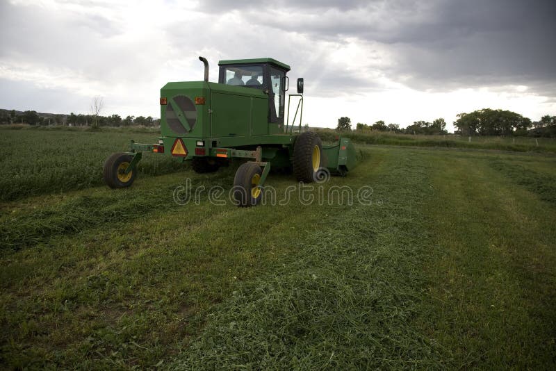 Windrower cutting alfalfa stock photo. Image of field - 10402294