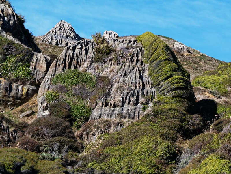 Windblown Vegetation Forms a Mound Up a Hillside on Limestone Rocks ...