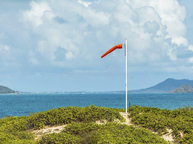 Soaking Up the Sun stock image. Image of hispanic, beach - 4250347