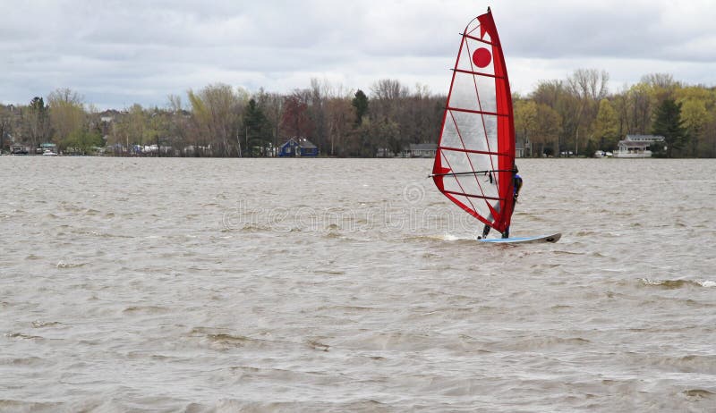 Windsurf Del Hombre En Un Tablero Foto editorial - Imagen de lago, agua ...