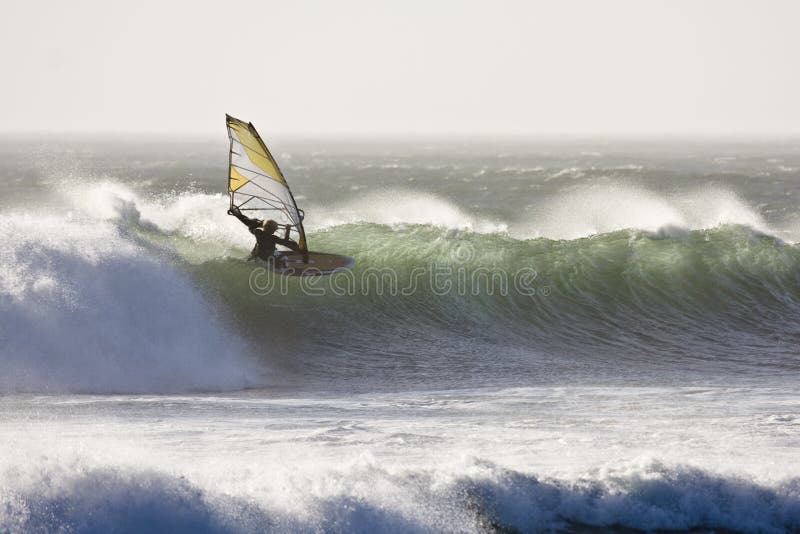Windsurfer stock photo. Image of waves, south, male, outdoors - 17209858