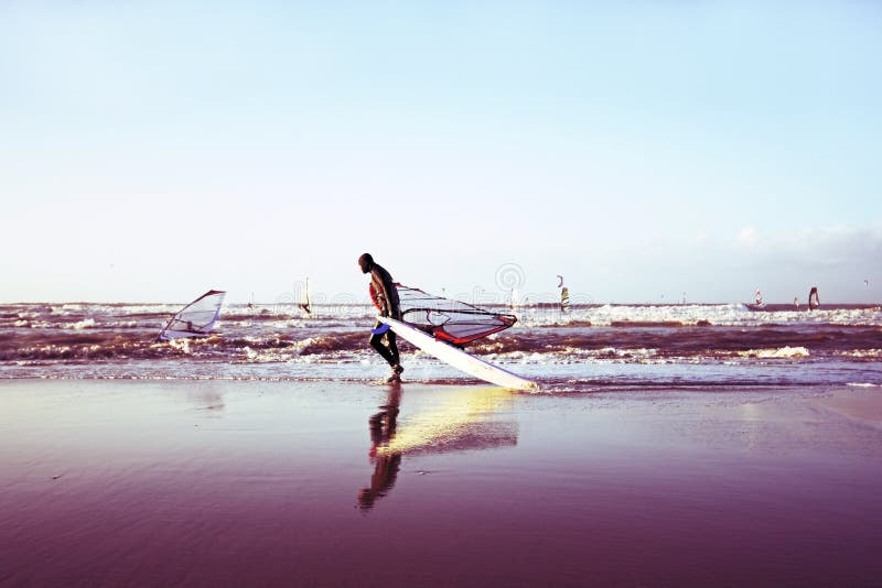 Windsurfer on the Beach in Holland Stock Photo - Image of windsurfer ...