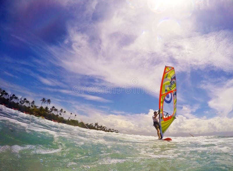 Fish Suite Stock Photos - Free & Royalty-Free Stock Photos from Dreamstime