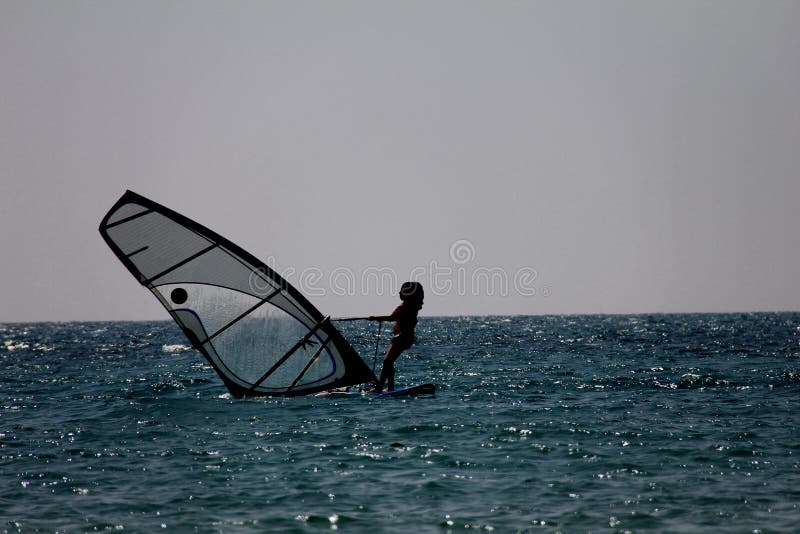 Windsurfing stock photo. Image of hobby, vacation, pursuit - 24588422