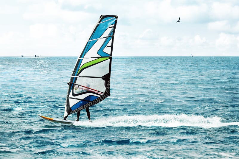Windsurfing, extreme sport stock photo. Image of surf - 157587368