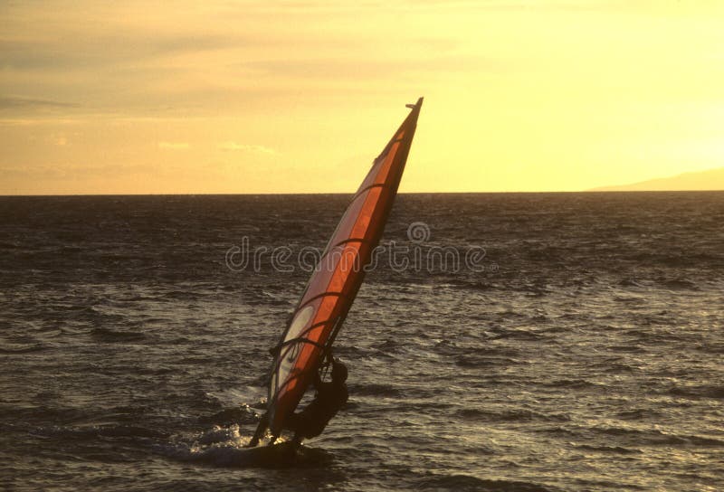 Windsurfing at sunset stock image. Image of magichour - 10142295