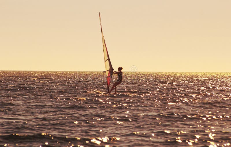 Windsurfing in Sunset on the Sea Stock Image - Image of sail, outdoor ...