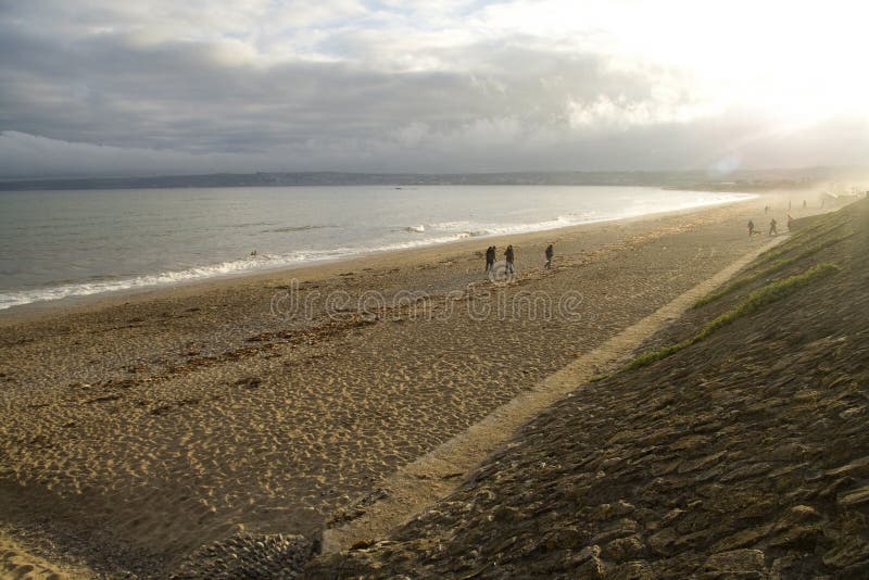 Windswept beach stock image. Image of windy, windswept - 11716183