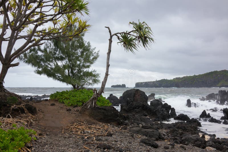 A Windswept Maui Beach stock image. Image of rocks, maui - 69275819