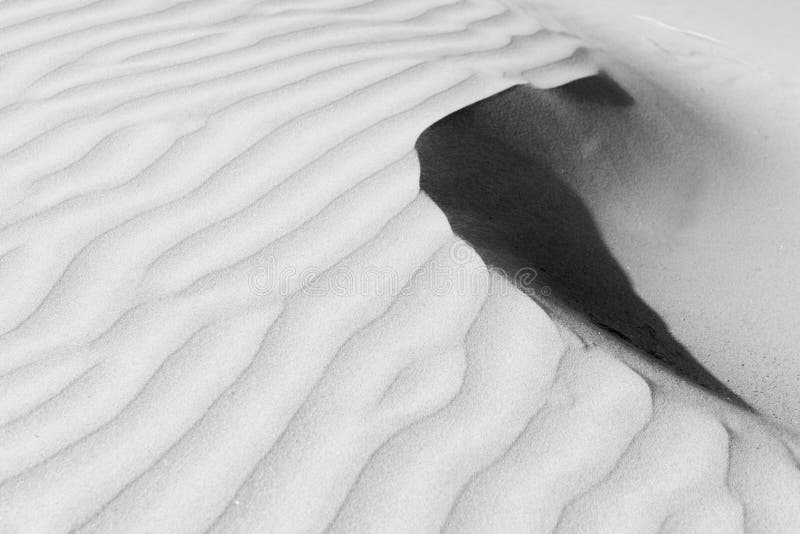 Windswept sand patterns stock photo. Image of zealand - 88217600