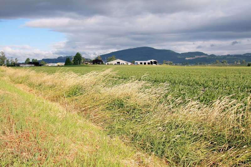 Windswept Valley and Farm Land Stock Image - Image of landscape ...