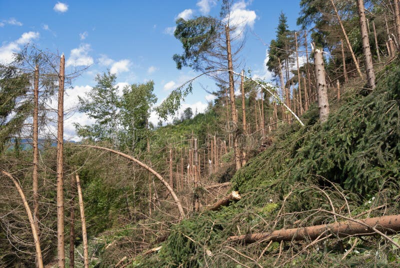 Deforestation in Mountainous Areas, Maseru Lesotho. Stock Photo - Image ...