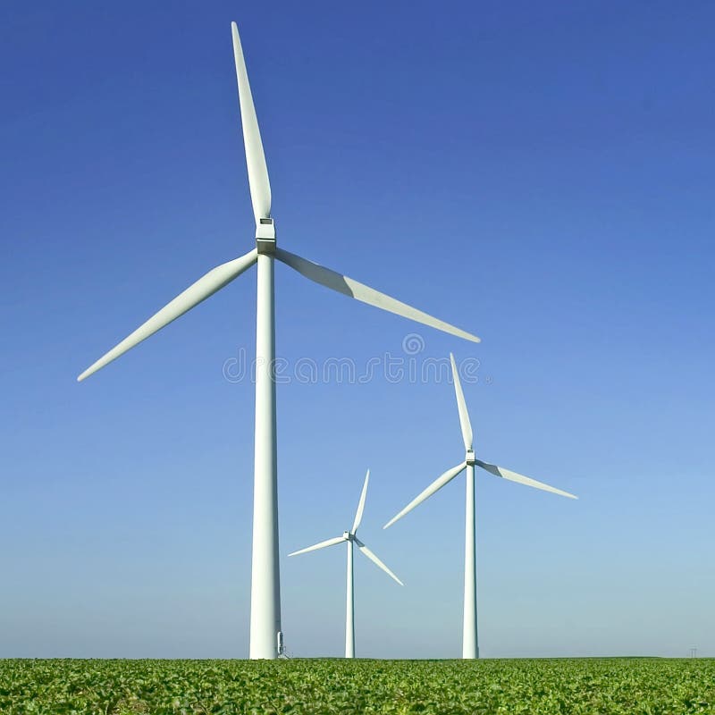 Wattle Point Wind Farm stock photo. Image of scenery, energy - 607560