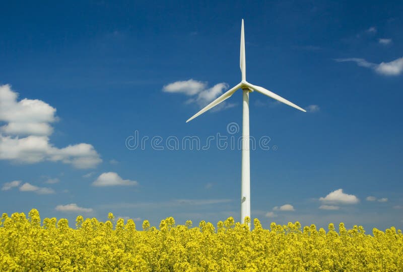 Windmill in yellow field stock photo. Image of agriculture - 5165376