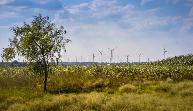 Windwheels and a Field in Rural Ukraine. Wind Farm Near the Village ...