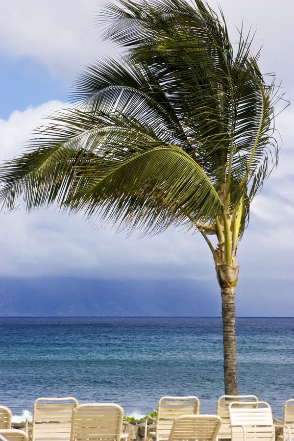 Windy stock photo. Image of dreaming, destination, ocean - 8286708