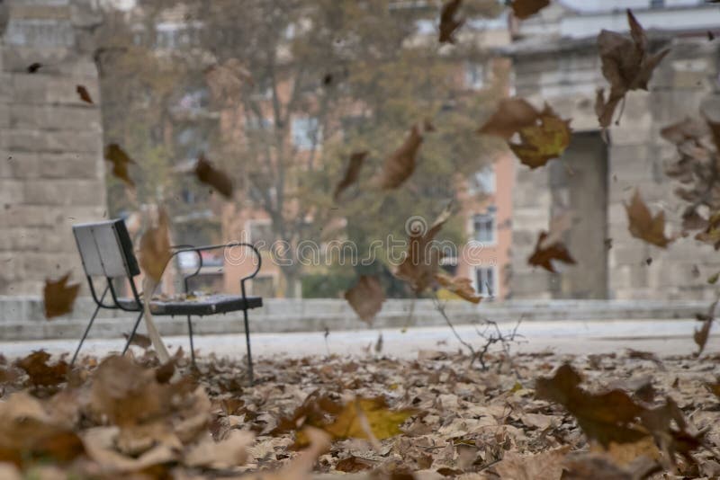 Windy autumn stock image. Image of leafes, beautiful - 94569853