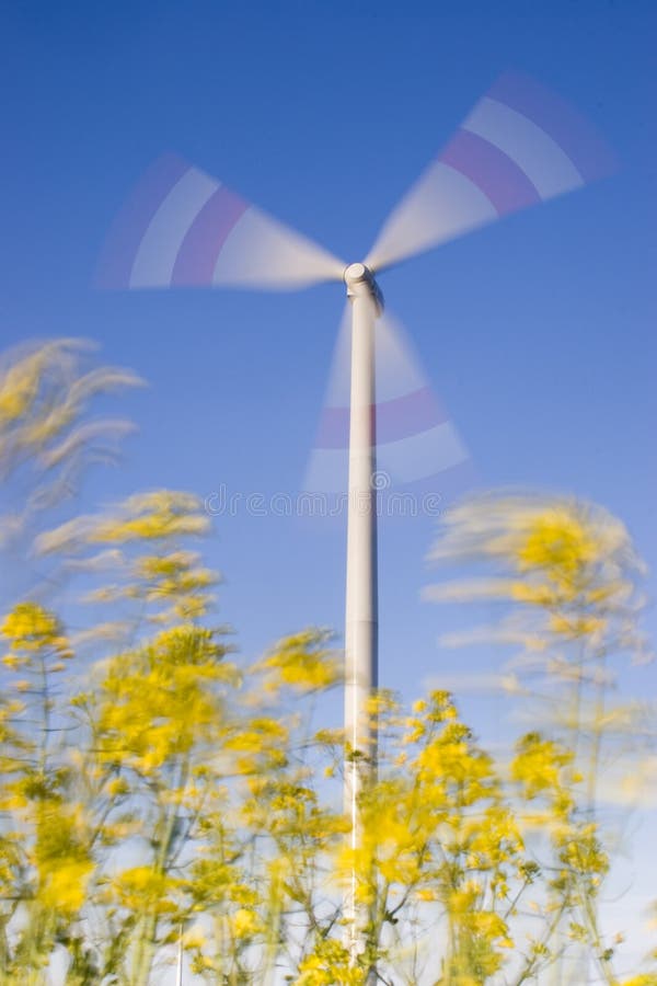 Windy day stock image. Image of windfarm, alternative - 2259297