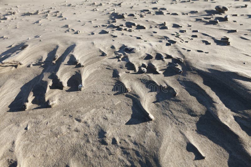 Windy day on a beach stock image. Image of beach, wind - 84963069