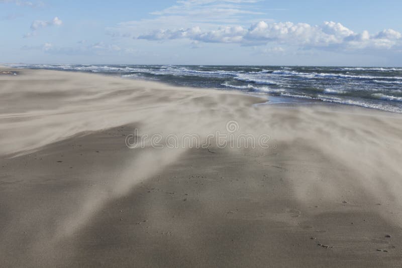Windy day on a beach stock photo. Image of yellow, wind - 84986550