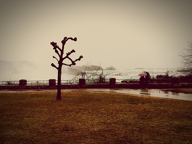 Windy day stock photo. Image of tree, travel, view, umberella - 86610212