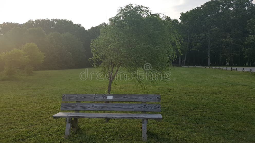 Windy day by the lake stock photo. Image of beautiful - 71325408