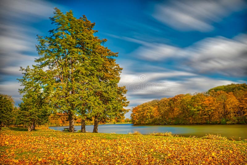 Windy day stock image. Image of gust, color, autumn - 130426417