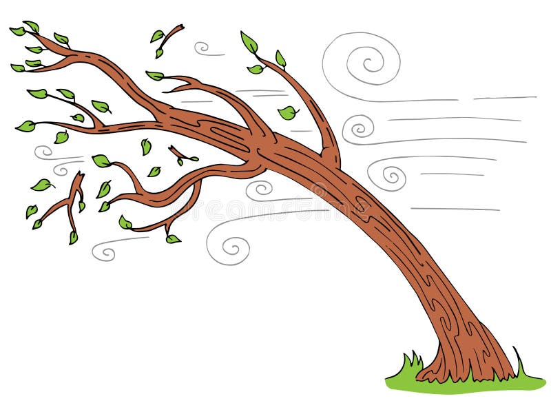 Windy Day Tree Bending Broken Branches Stock Vector - Illustration of ...