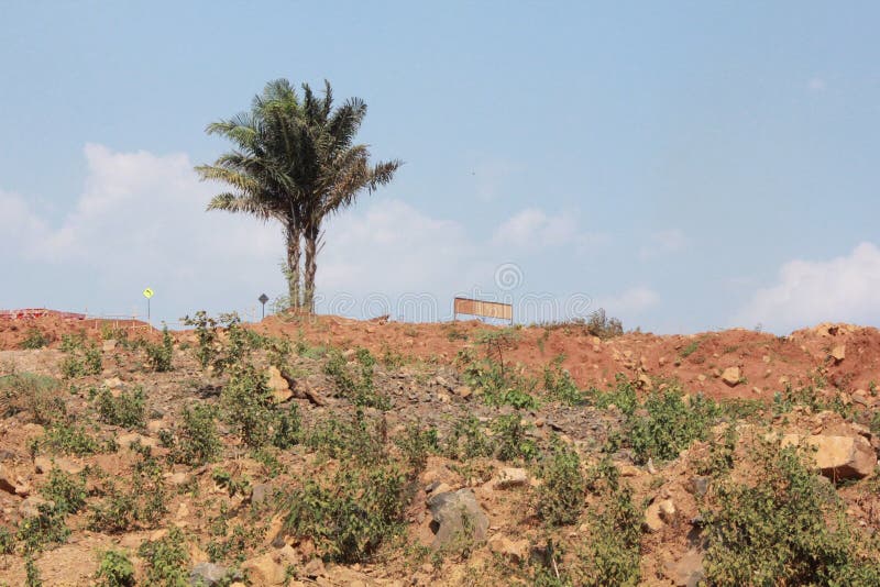 Windy drought area stock photo. Image of soil, area - 206324132