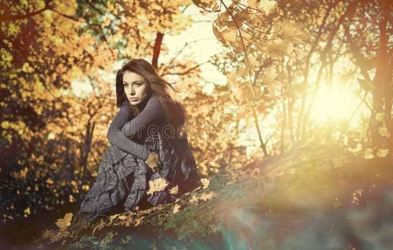 Windy Forest Background stock image. Image of fall, back - 21424807