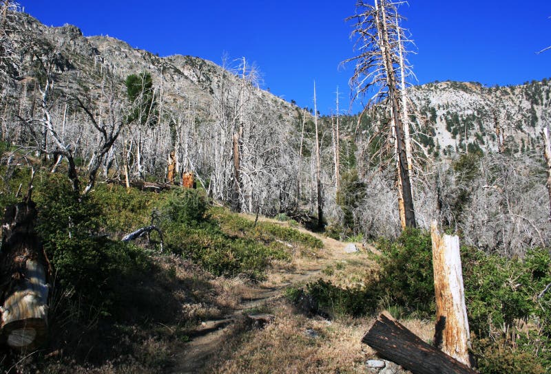 Windy Gap Trail stock photo. Image of panorama, landscape - 25297188