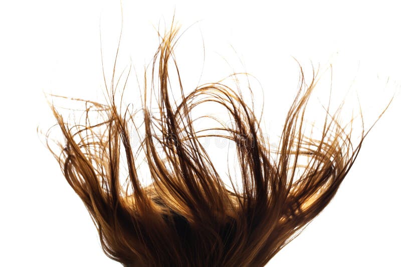 Windy Hair. Abstract Close Up Hairs on White Background Stock Photo ...