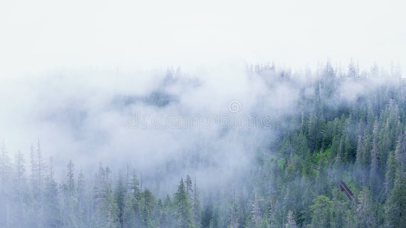 Windy Mountain Road through a Misty Forest Stock Photo - Image of ...