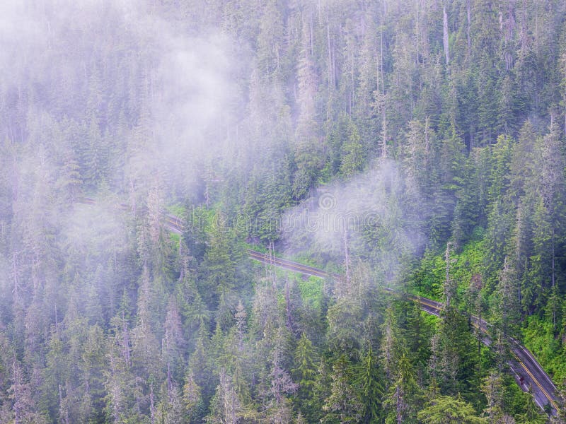 Windy Mountain Road through a Misty Forest Stock Photo - Image of ...