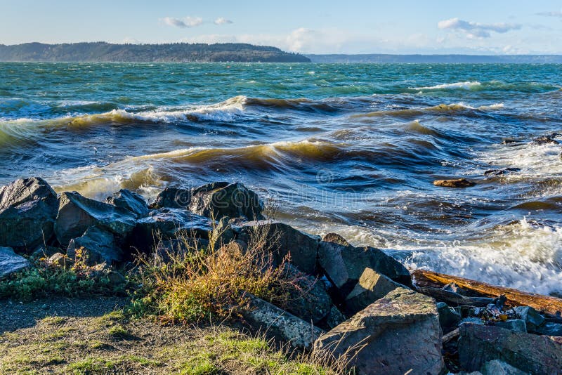 Windy Ocean Landscape 5 stock image. Image of outdoors - 260711681