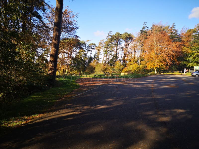 Windy park day in Athy stock image. Image of park, windy - 164460141