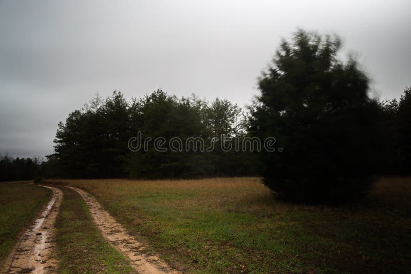 Windy path shot from above stock photo. Image of cold - 93455822