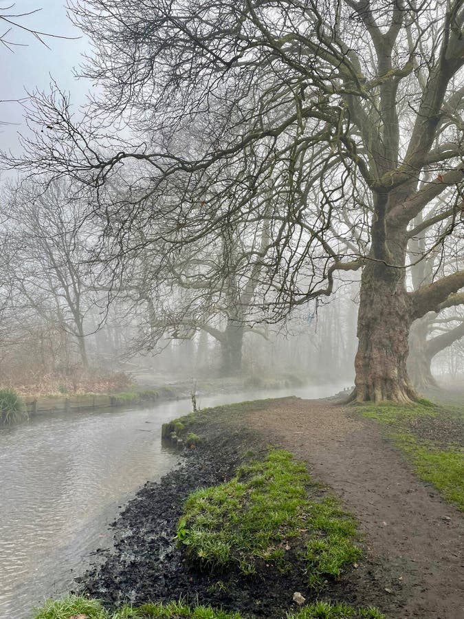 Windy river on a foggy day stock image. Image of stream - 269106955