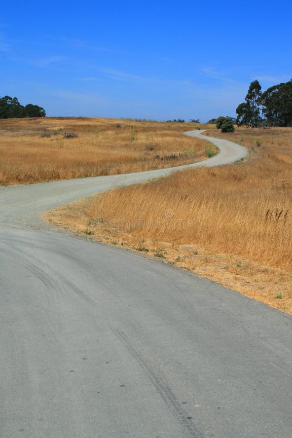 Windy Road stock photo. Image of double, infinite, carriageway - 6515588