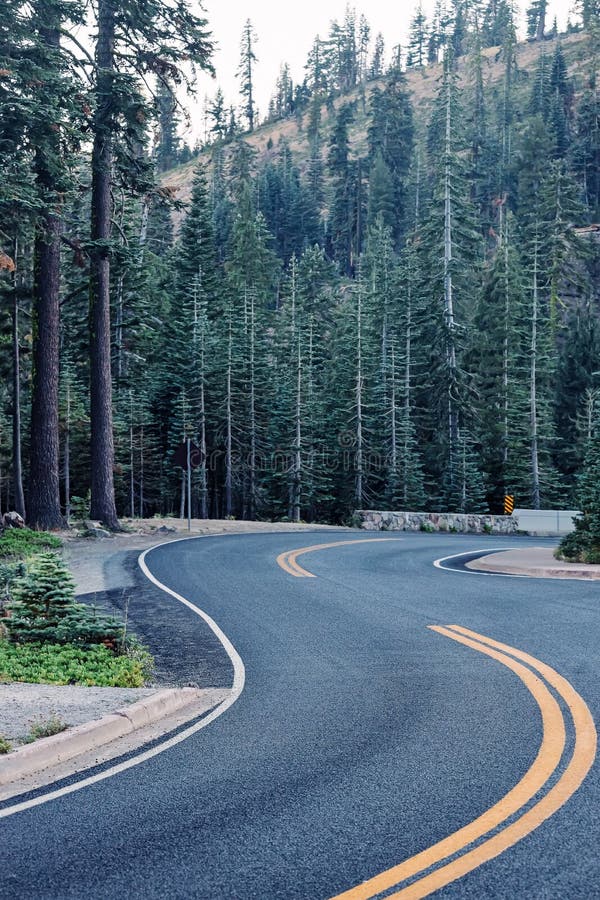 Windy Road with No Cars through the Forest Stock Image - Image of ...