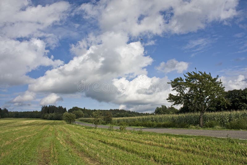 Windy Spring Day In Countrside Stock Image - Image of outdoor, road ...